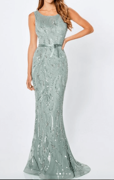 Fancy Net Gown Design 2024 - Meena Boutique